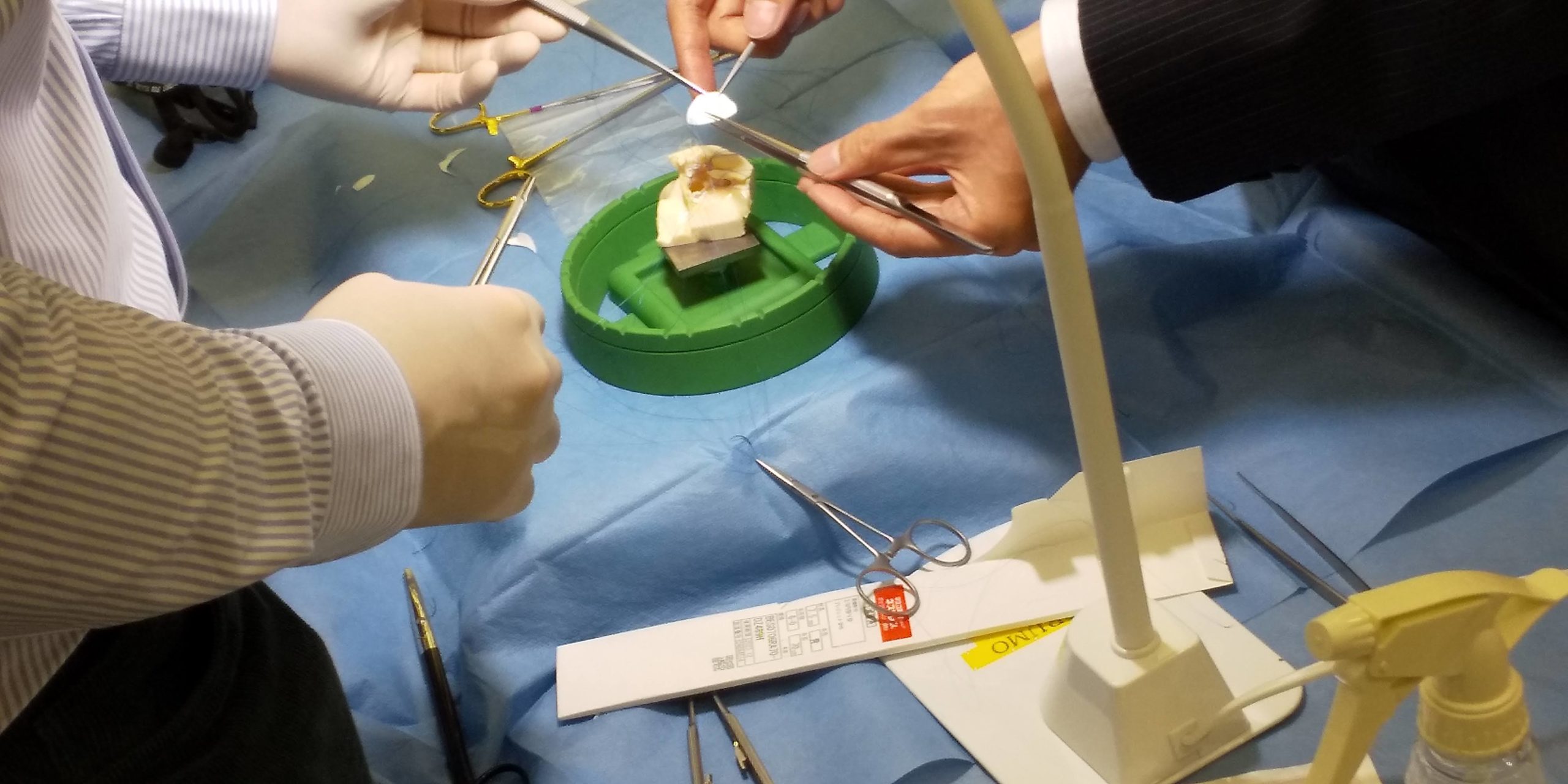 手術手技セミナーにおけるSurgery Training Modelの採用｜製作実績｜株式会社クロスメディカル｜心臓シミュレーターほか各種臓器モデル